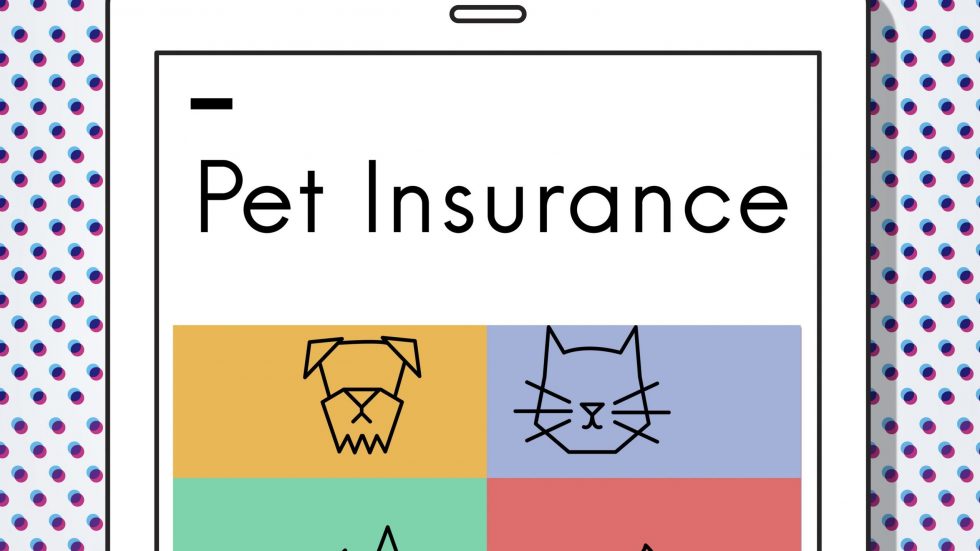 Pet Insurance | Odie's World Blog | Odie Pet Insurance