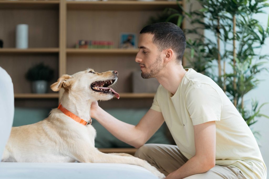 Three Essential Metrics to Monitor for Your Dog's Health ...