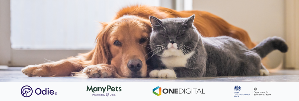 Florida | Affordable Pet Insurance Plans | Get Odie